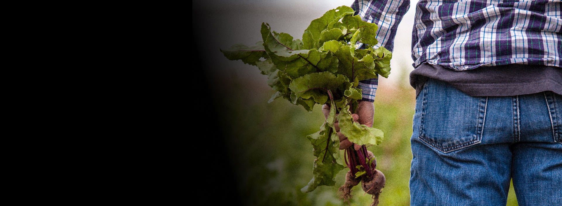 Biosolutions by grower needs | Rovensa Next Global