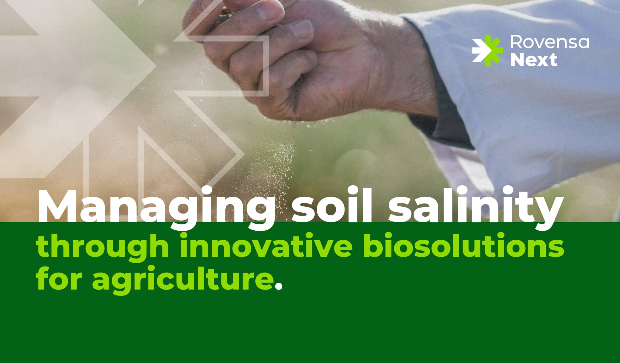 Managing soil salinity and sodicity through biosolutions for ...