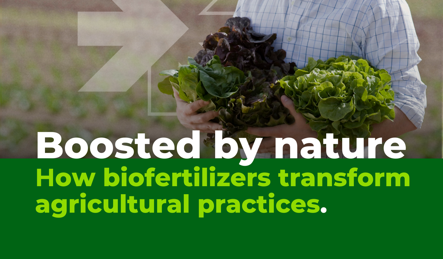 Boosted by Nature: how biofertilizers transform agricultural practices ...