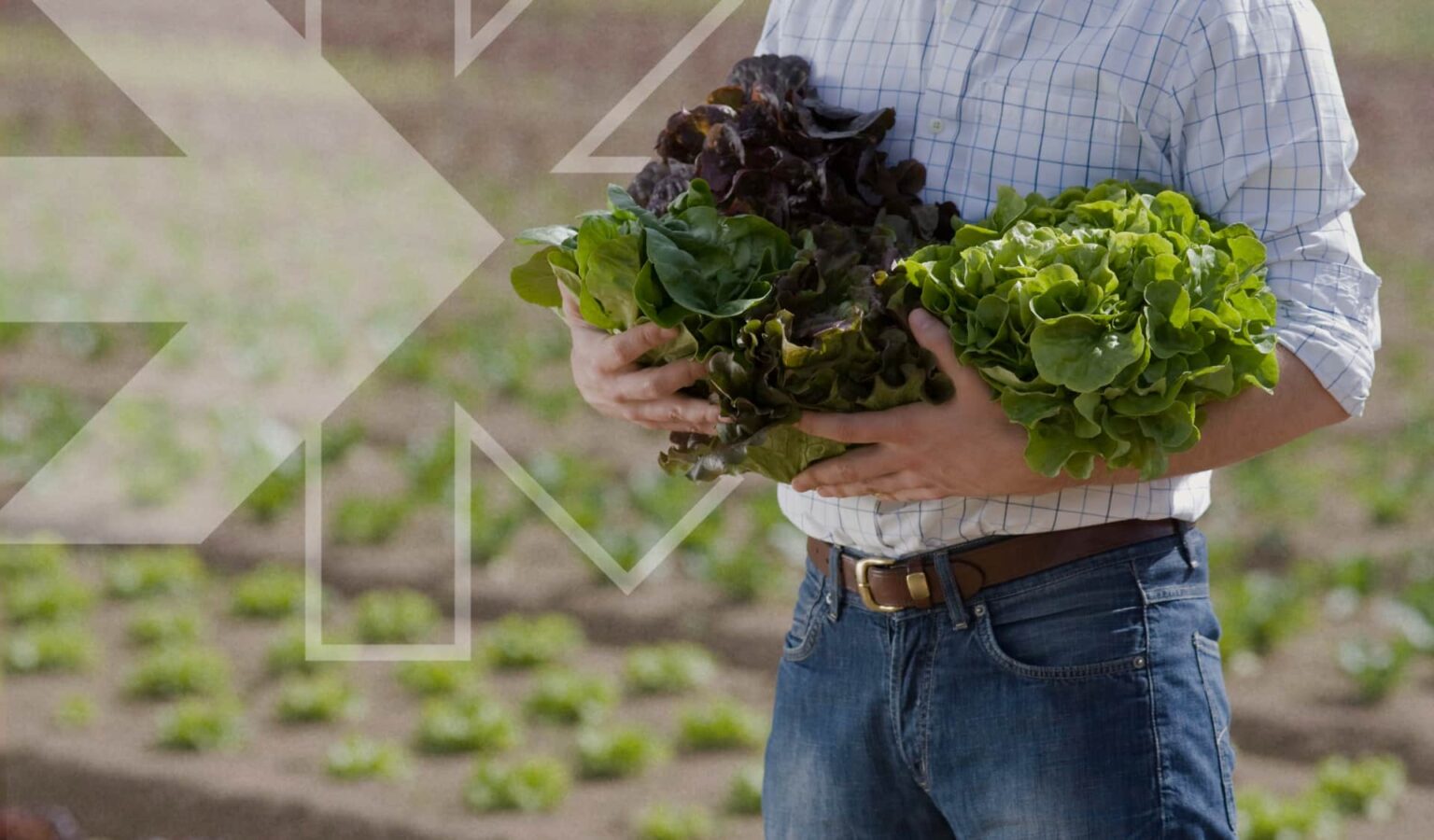 Rovensa Next Global | A pioneer in biosolutions for sustainable agriculture