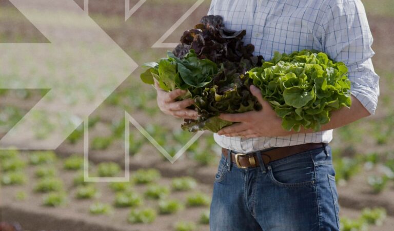 Rovensa Next Global | A pioneer in biosolutions for sustainable agriculture