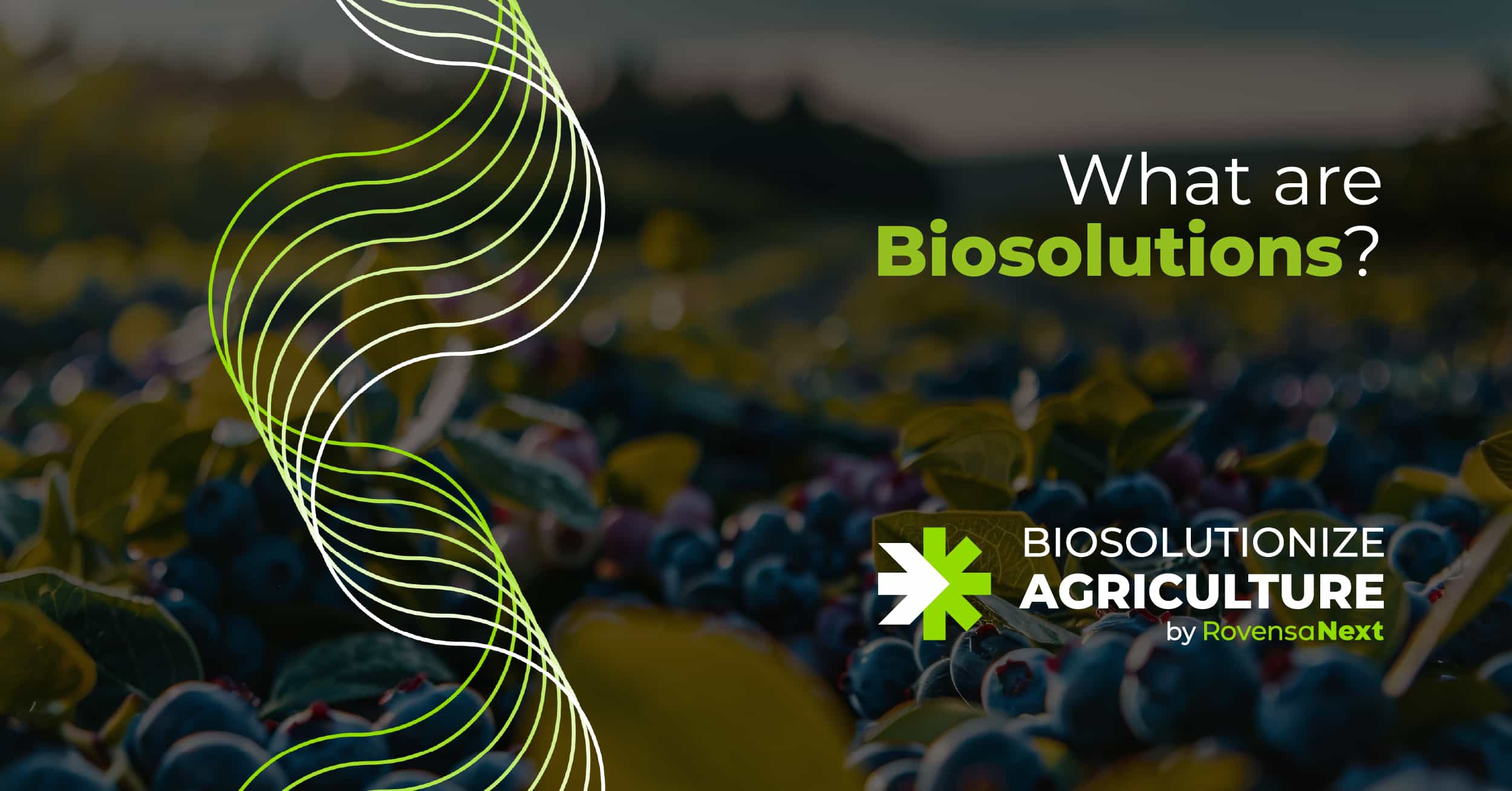 What are biosolutions in agriculture? | Rovensa Next Global