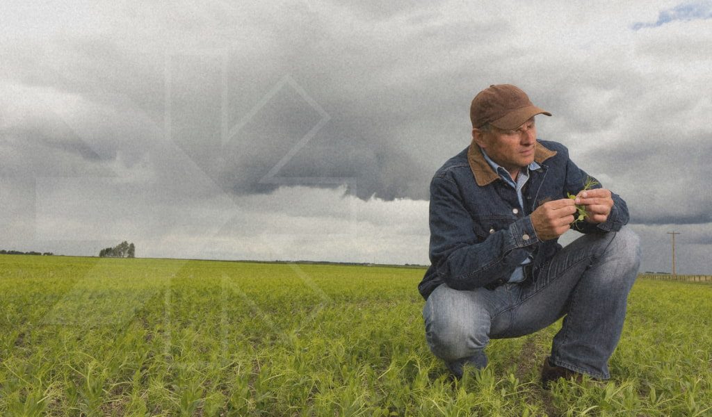 Innovation in biocontrol as an effective and sustainable answer to crop ...