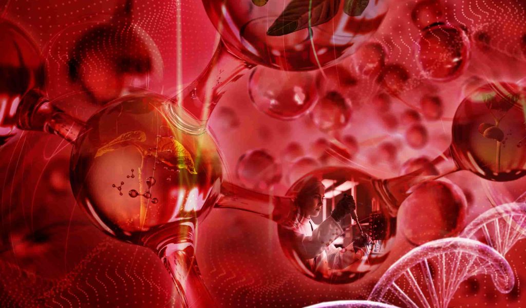 Brazilian research into agricultural biostimulants makes the cover of ...